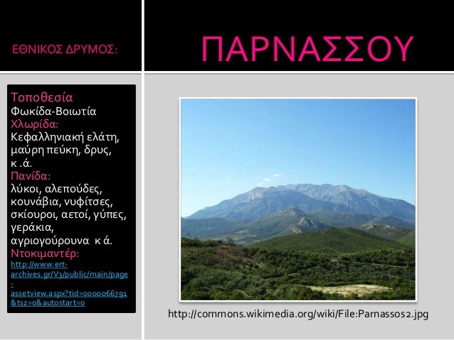 ΕΘΝΙΚΟΙ ΔΡΥΜΟΙ