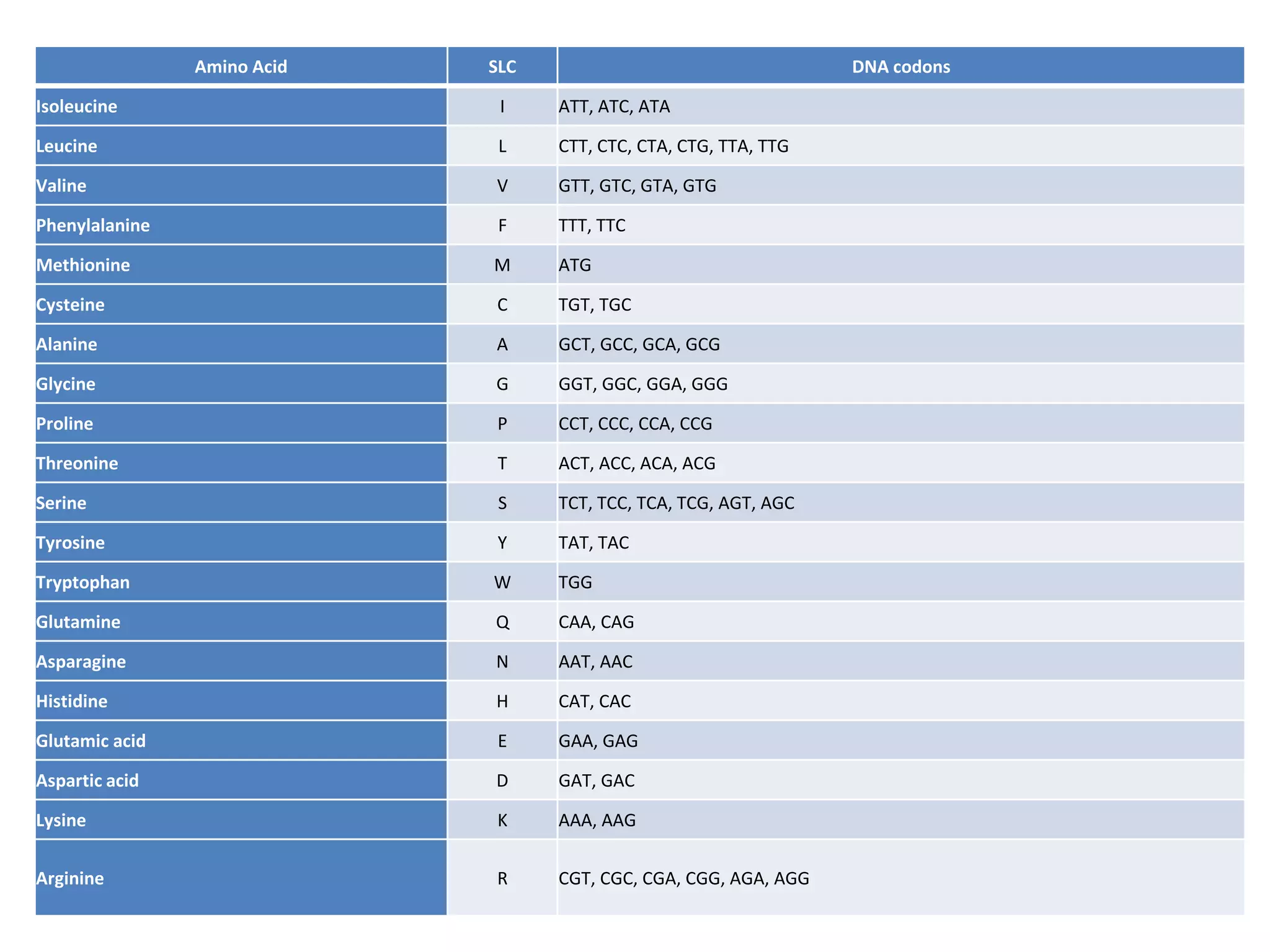 تصنيع البروتينات في الخلية | PDF