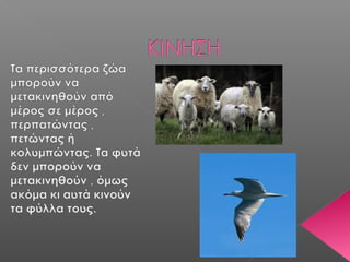 φυσικη εμβια αβια | PPT