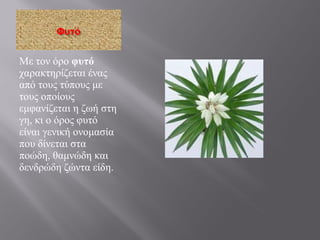 Φυτα | PPT