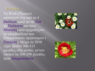 Φυτα | PPT