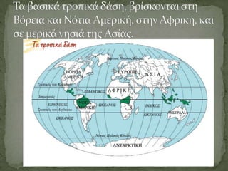 Τροπικα Δαση | PPT