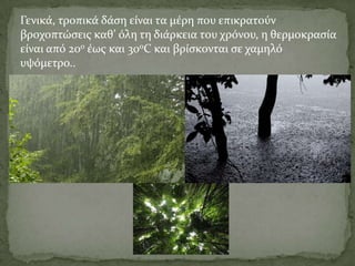 Τροπικα Δαση | PPT