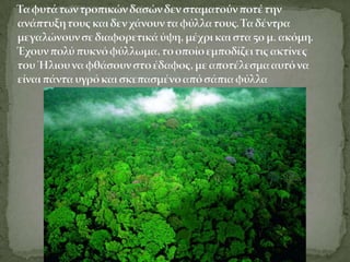 Τροπικα Δαση | PPT