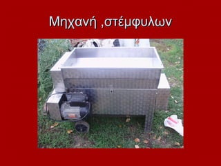 εργασια συγχρονη ελληνικη κουζινα και μαγειρικη | PPT