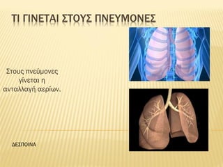 Αναπνευστικό Συστημα | PPT