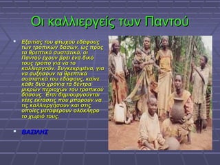 Οι Μπαντού - Αυτόχθονας λαός | PPT