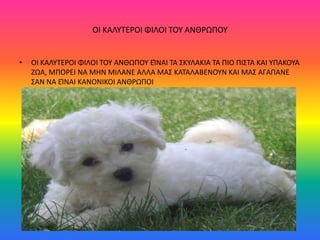 σκυλακια | PPTX