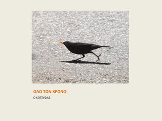 ΠΟΥΛΙΑ ΤΗΣ ΑΘΗΝΑΣ | PPT