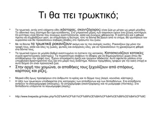 κάστορας | PPT