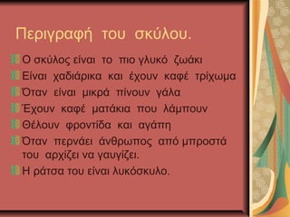 Δ1 Καϊτατζή Ελπίδα -το αγαπημένο μου ζώο | PPT