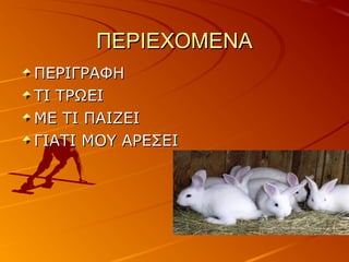 ΓΙΑΝΝΗΣ ΛΑΜΑΙ -Το αγαπημένο μου ζώο | PPT