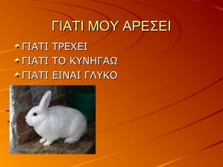 ΓΙΑΝΝΗΣ ΛΑΜΑΙ -Το αγαπημένο μου ζώο | PPT