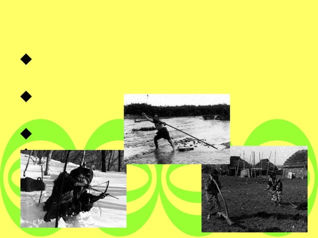 ชาวไอนุ (Ainu Tribe) | PPTX