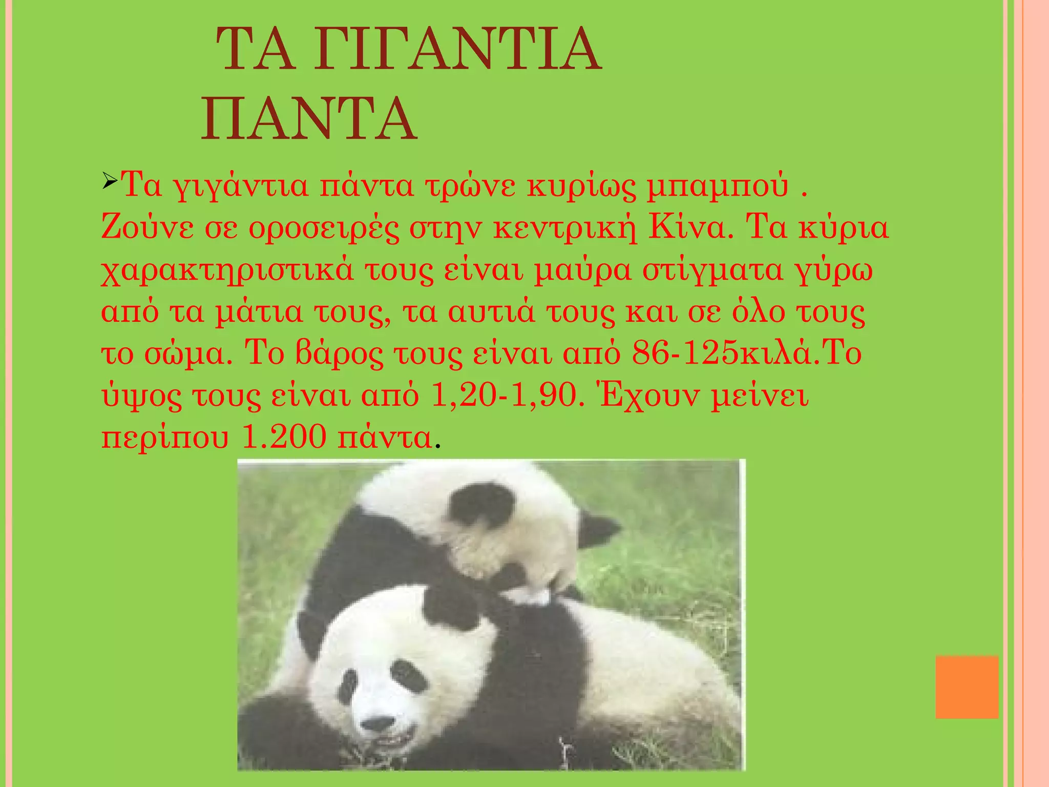 ζώα υπό εξαφάνιση | PPT