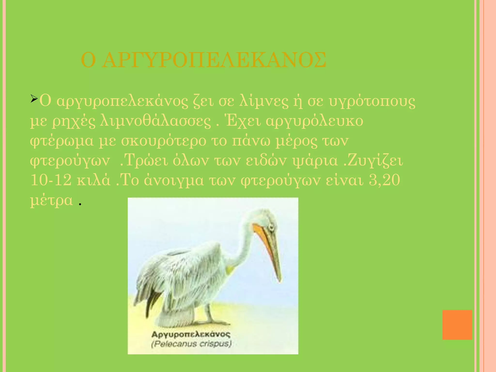 ζώα υπό εξαφάνιση | PPT