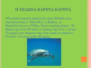ζώα υπό εξαφάνιση | PPT