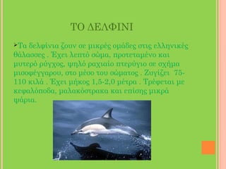 ζώα υπό εξαφάνιση | PPT