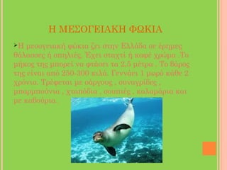 ζώα υπό εξαφάνιση | PPT