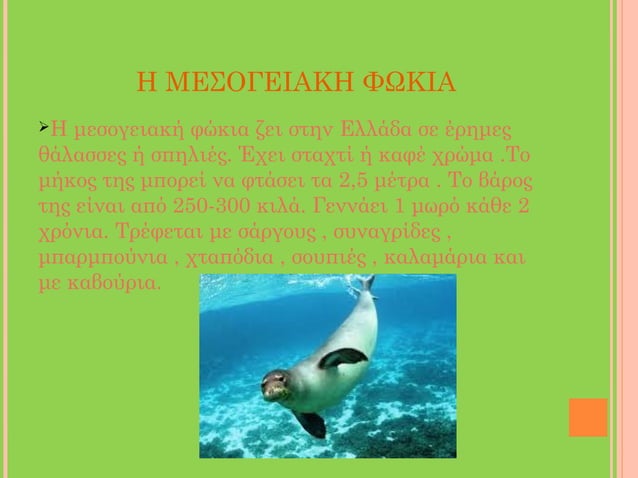 ζώα υπό εξαφάνιση | PPT