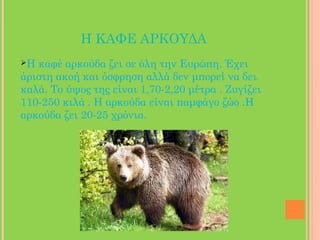 ζώα υπό εξαφάνιση | PPT