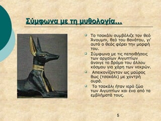 το τσακάλι | PPT