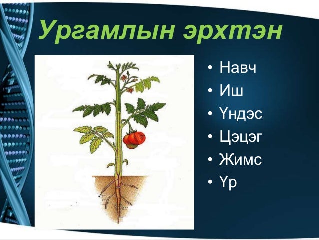 ургамлын үржлийн эрхтэн