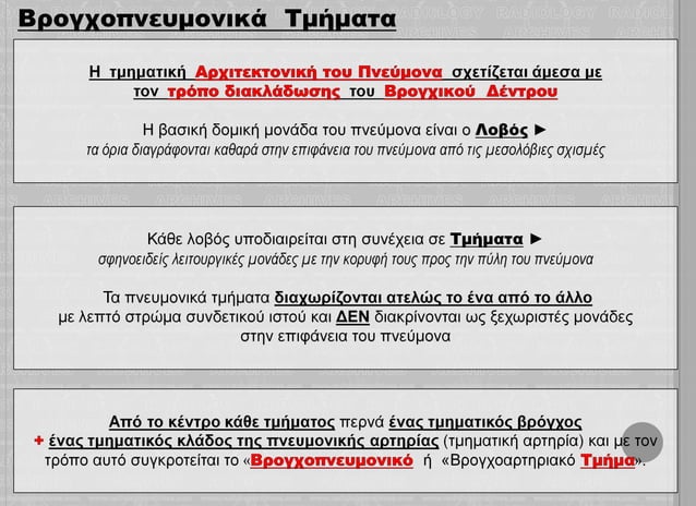 Ανατομία Θώρακα - Ακτινολογική Προσέγγιση | PDF
