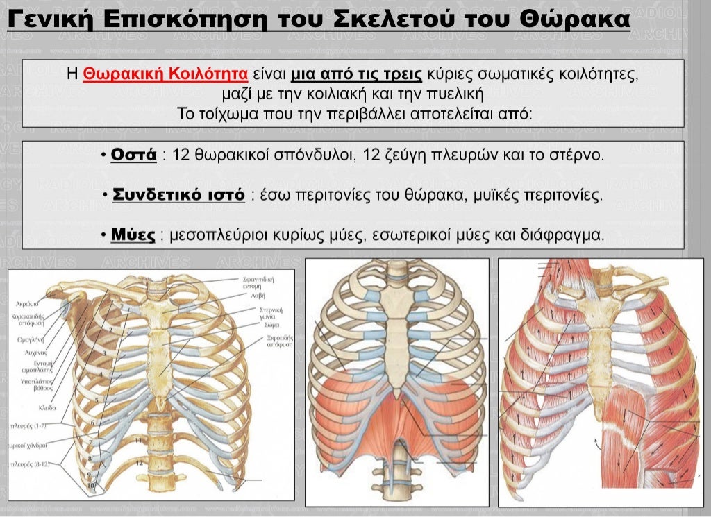Ανατομία Θώρακα - Ακτινολογική Προσέγγιση