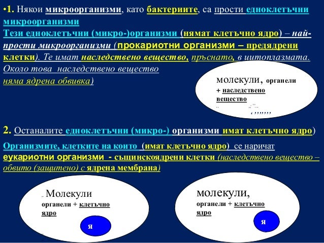 живи организми. клетка презентация