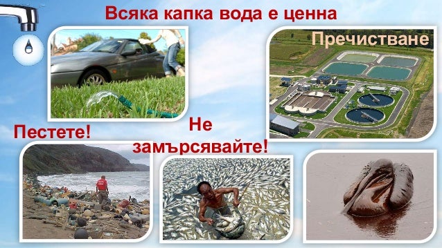 човекът и природата