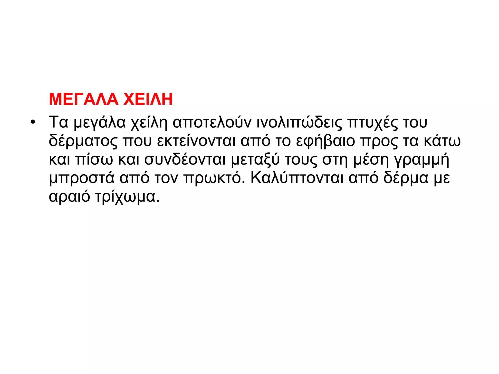 Ανατομία Γυναικείου Γεννητικού Συστήματος | PPT