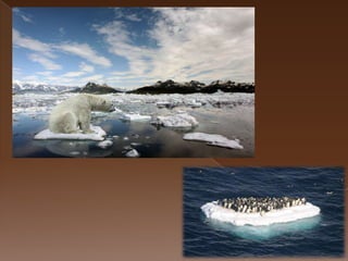 υπερθερμανση του πλανητη | PPT