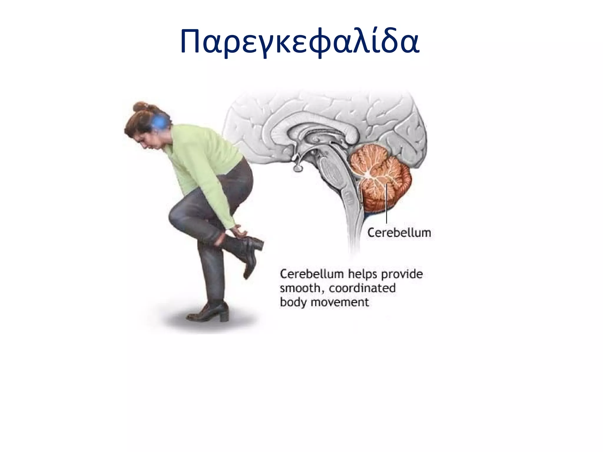 παρουσιασεις α λυκειου συνολικο | PPT