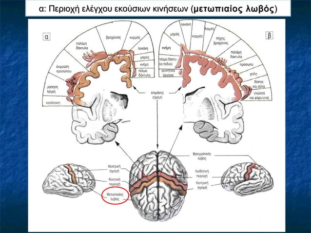 παρουσιασεις α λυκειου συνολικο | PPT