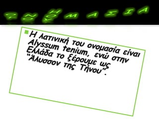 'Αλυσσον της Τηνου | PPT