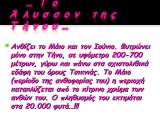 'Αλυσσον της Τηνου | PPT