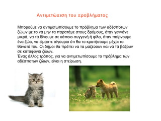 εργασία για τα αδεσποτα ραφτούλη κυριακή | PPT