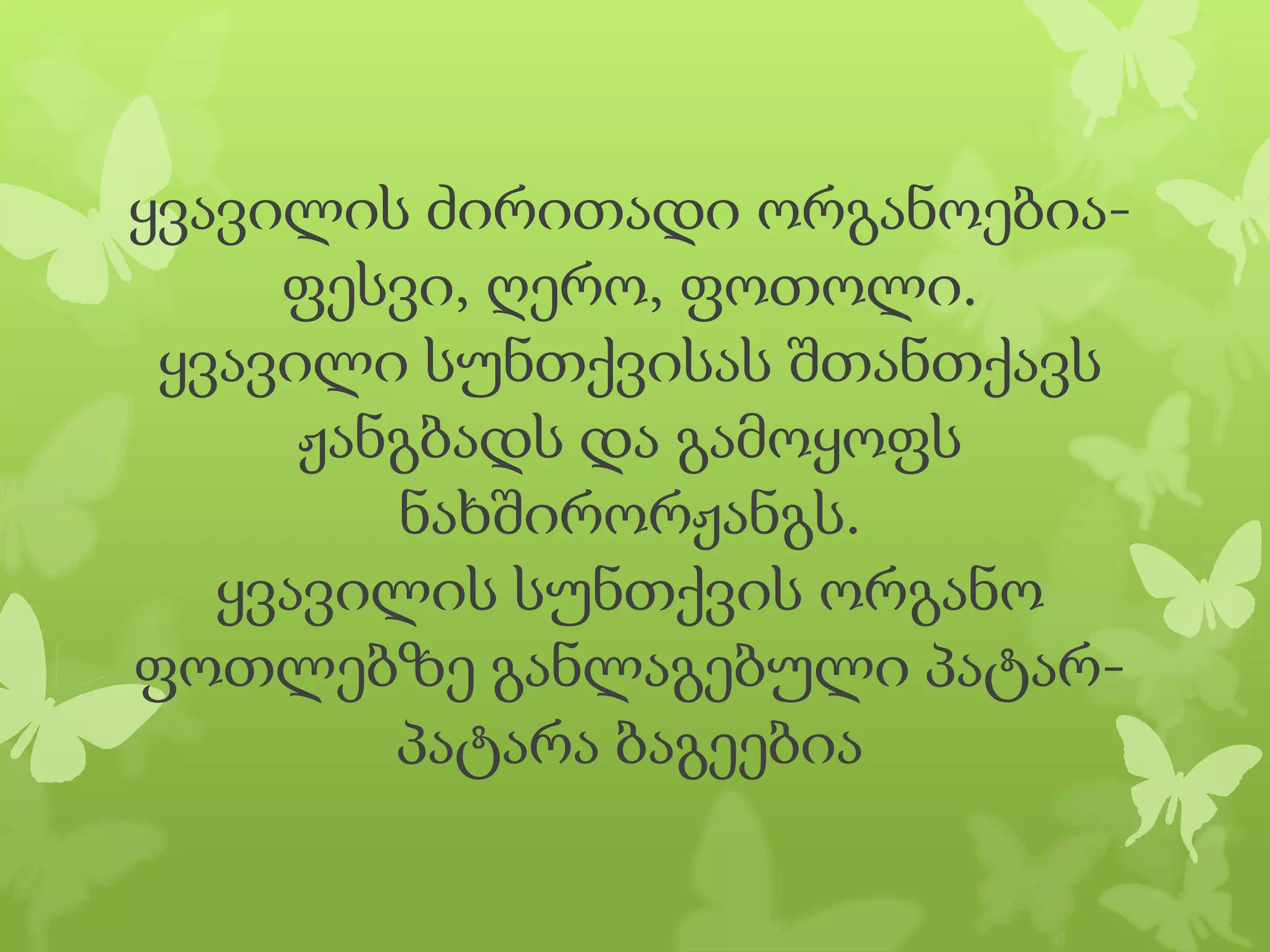 ყვავილოვანი მცენარეები, ფოთოლი, ფოტოსინთეზი | PPTX