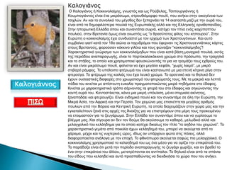 τα πουλιά της ελλάδας | PPTX