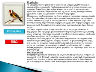 τα πουλιά της ελλάδας | PPTX