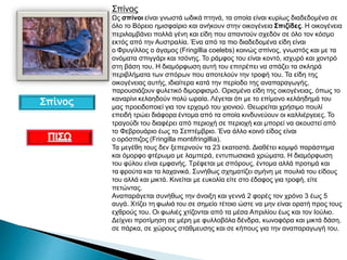 τα πουλιά της ελλάδας | PPTX