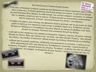 H Πολυσημία των Μαθηματικών Όρων | PPT