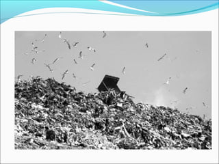 ανακυκλωση χαρτιου | PPT