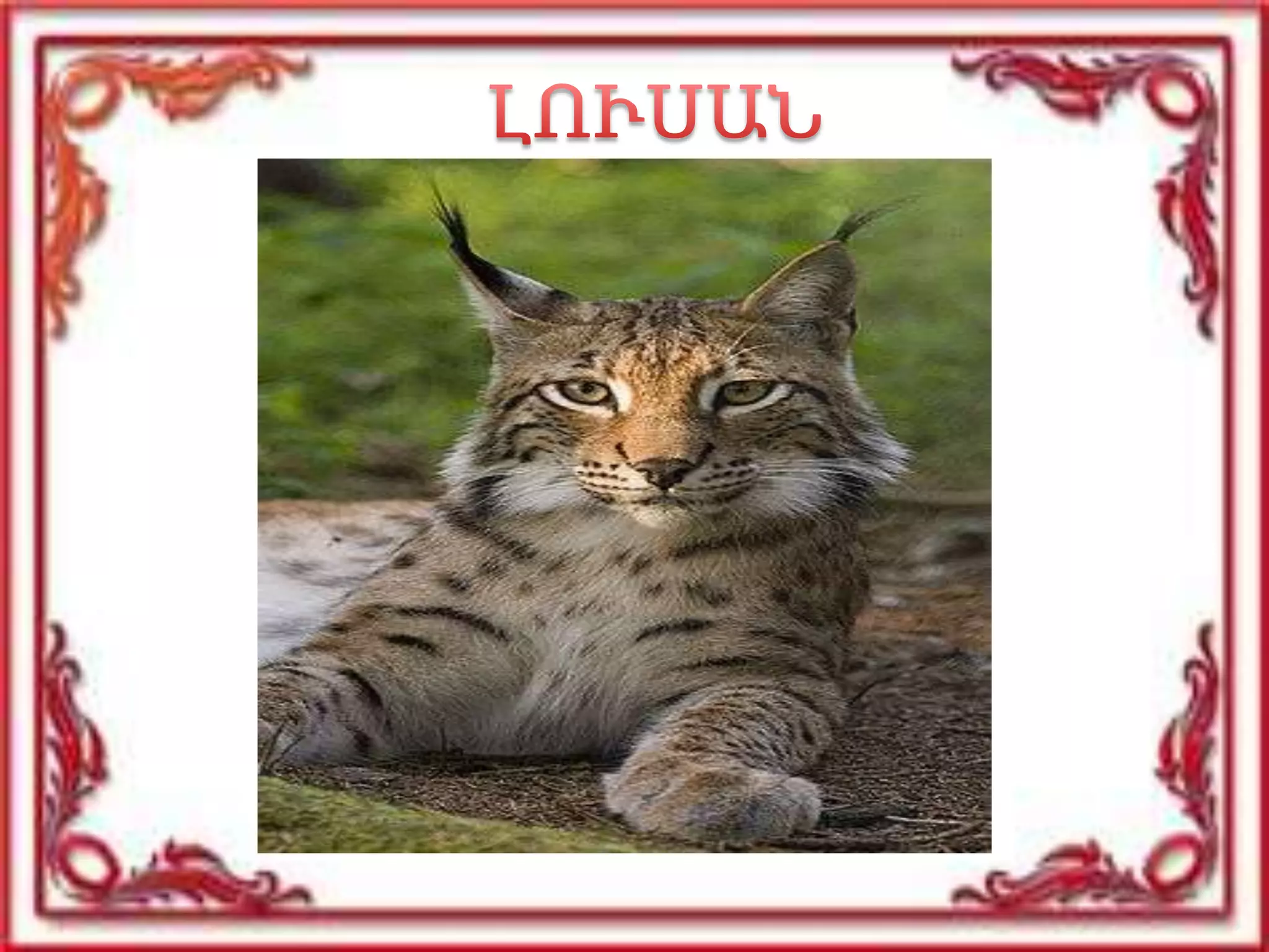 անուշ լուսան | PPTX