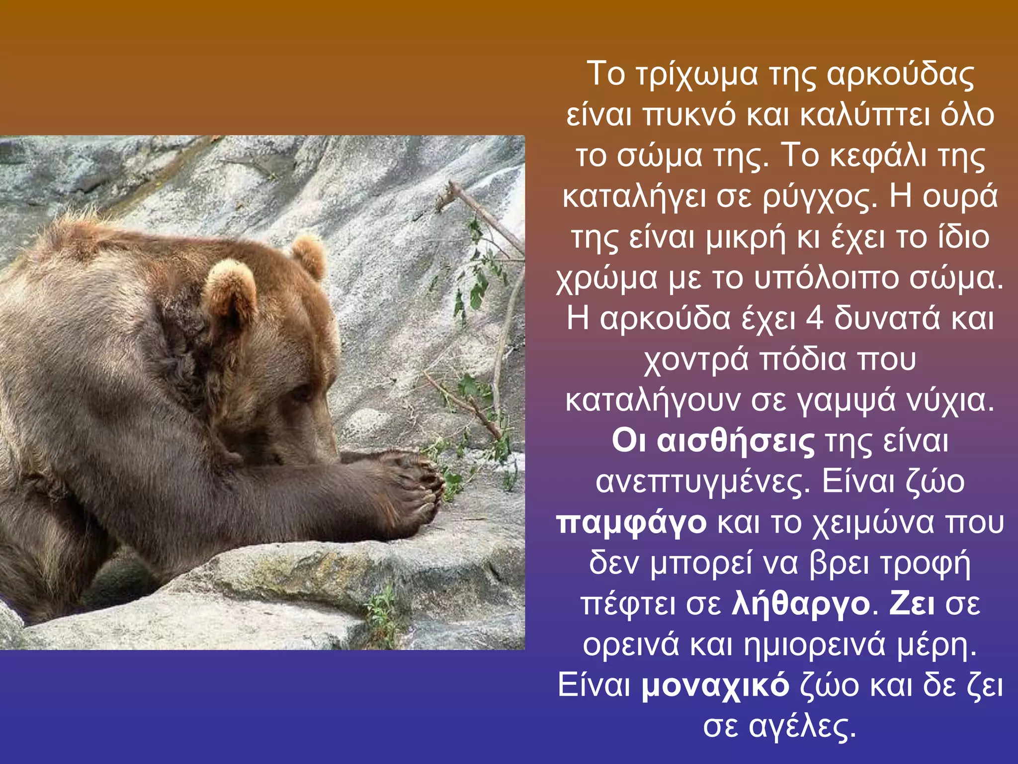 ζωα υπο εξαφανιση | PPT