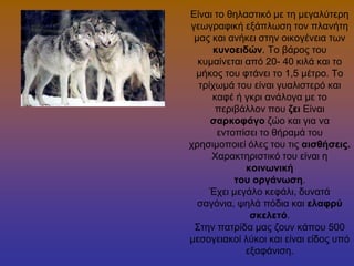 ζωα υπο εξαφανιση | PPT