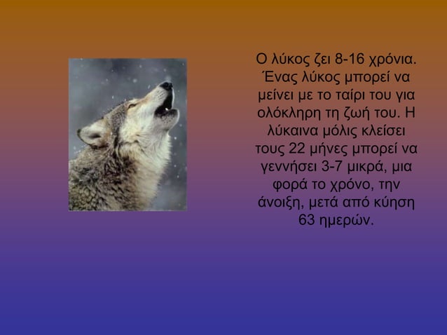 ζωα υπο εξαφανιση | PPT