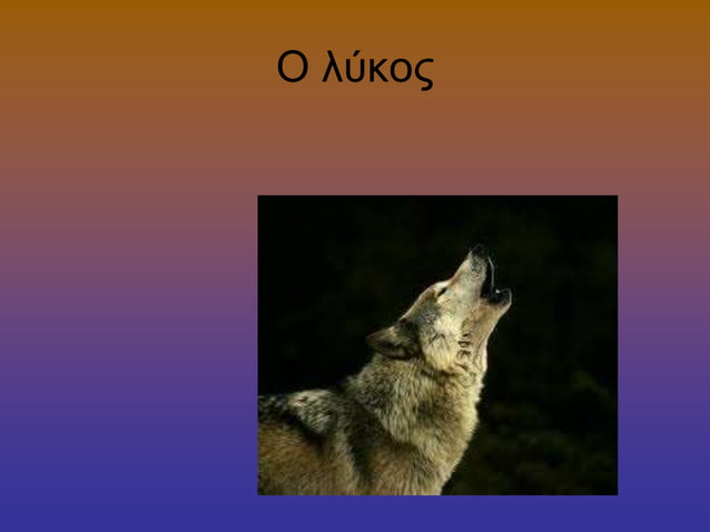 ζωα υπο εξαφανιση | PPT