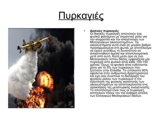 το οικολογικο προβλημα και ο ανθρωποσ | PPT
